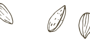 SHIA - Fine Dining Korean Restaurant in Washington D.C.